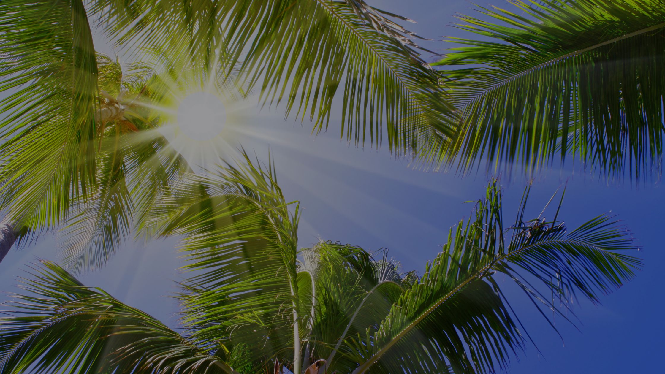 4 reasons why you need to stop selling single sessions as a healthcare practitioner - Launch ...