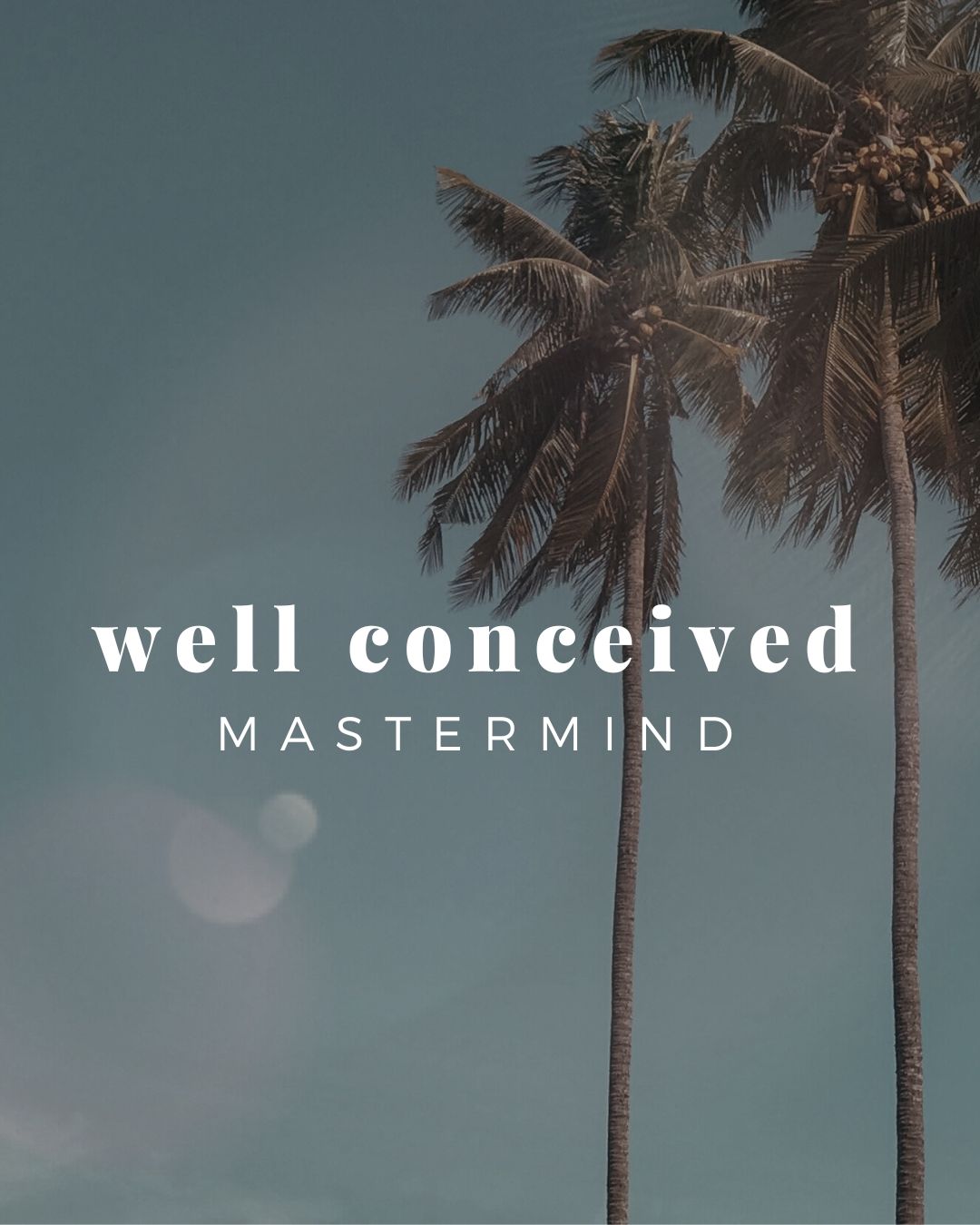 Peace and Profit Mastermind - Launch Easy Life with Robyn Birkin